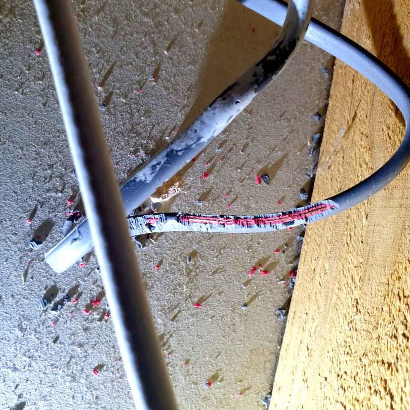 Case Study: Mouse Pest Control in Warwick - Country Life Pest Control