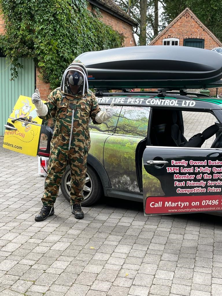Flea Pest Control Services - Country Life Pest Control